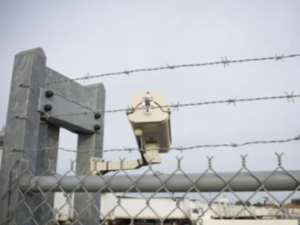 Warehouse Distribution – Novus Logisitics